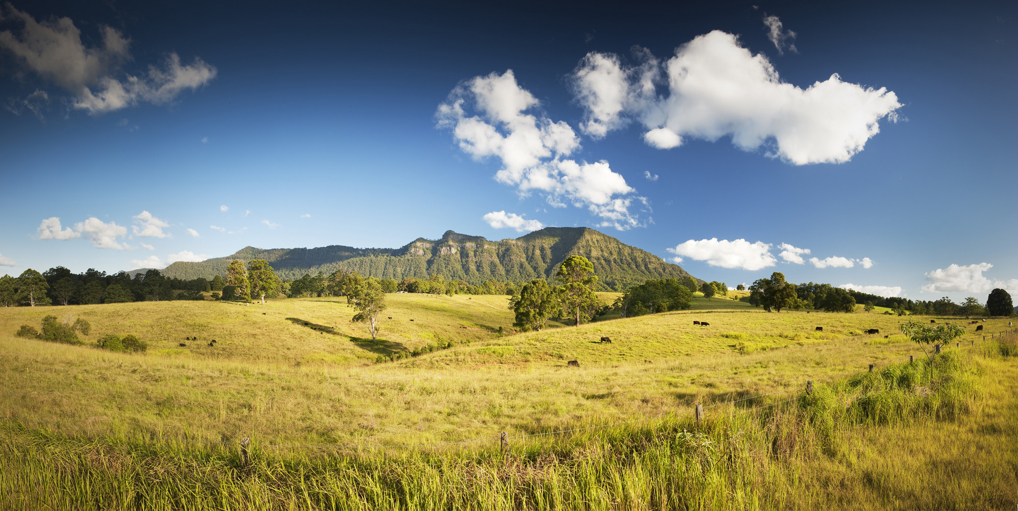 Tyalgum | Visit North Coast NSW
