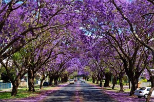 Hinterland Towns & Villages | Visit North Coast NSW