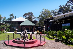 Hinterland Towns & Villages | Visit North Coast NSW