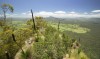 Border Ranges National Park | Visit North Coast NSW