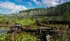 Cudgen Nature Reserve | Visit North Coast NSW